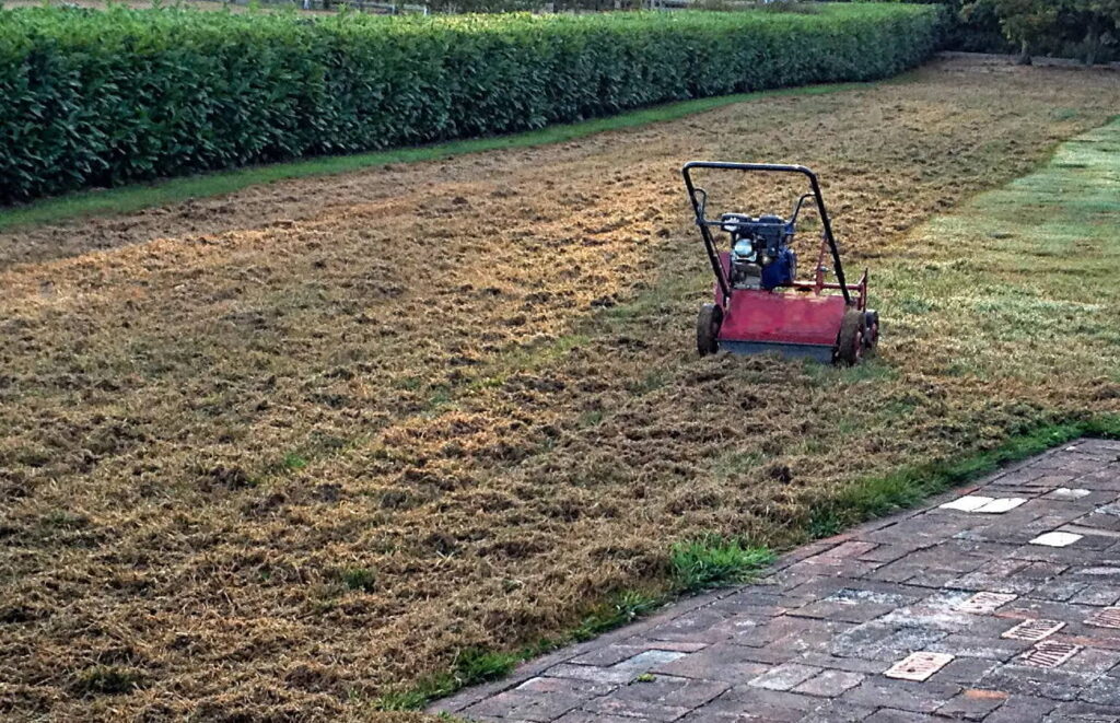 Hoe Verticuteren Met Een Verticuteermachine Of Met De Verticuteerhark Hoe Verticuteren Met Een Verticuteermachine Of Met De Verticuteerhark