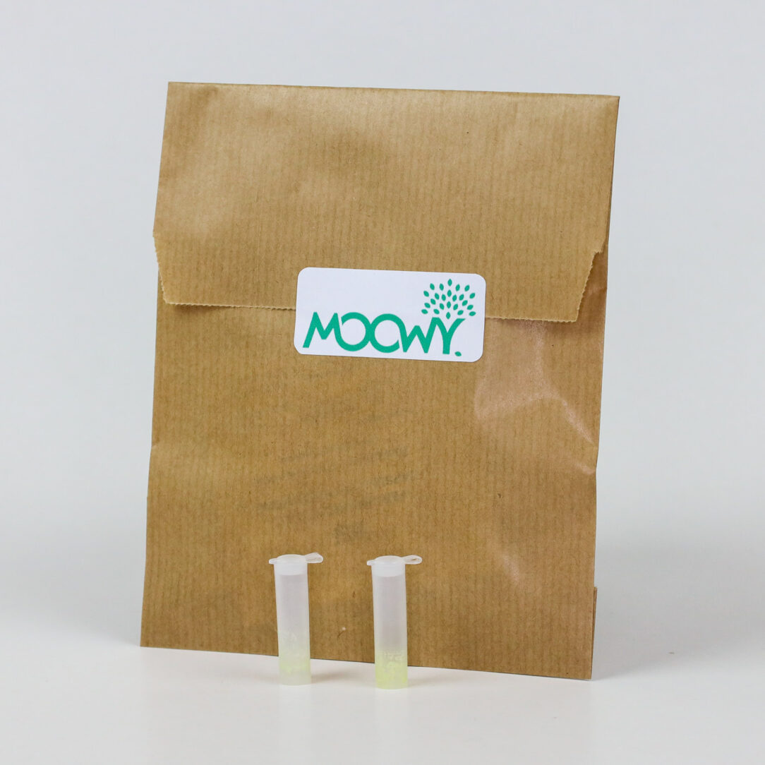 Insectenval voor kamerplanten kopen? - Snel geleverd | MOOWY