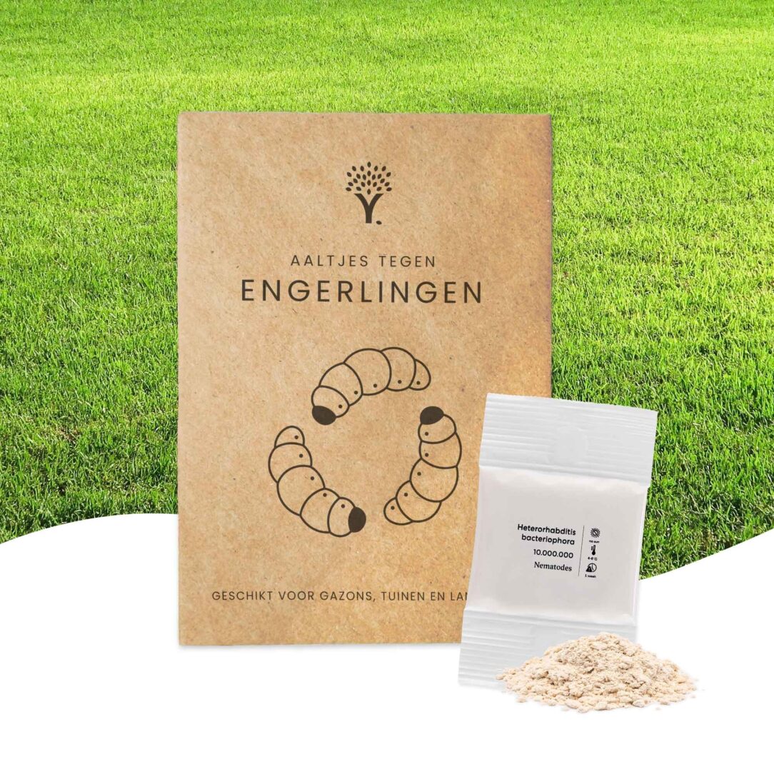 Engerlingen bestrijden in het gazon? Dat doe je zo! | MOOWY