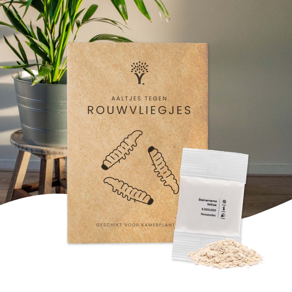 Insectenval voor kamerplanten kopen? - Snel geleverd | MOOWY